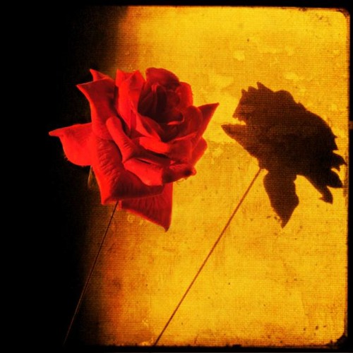 Stream Once Lost feat. ScoreBroad by Lady of Fire Poetry | Listen ...