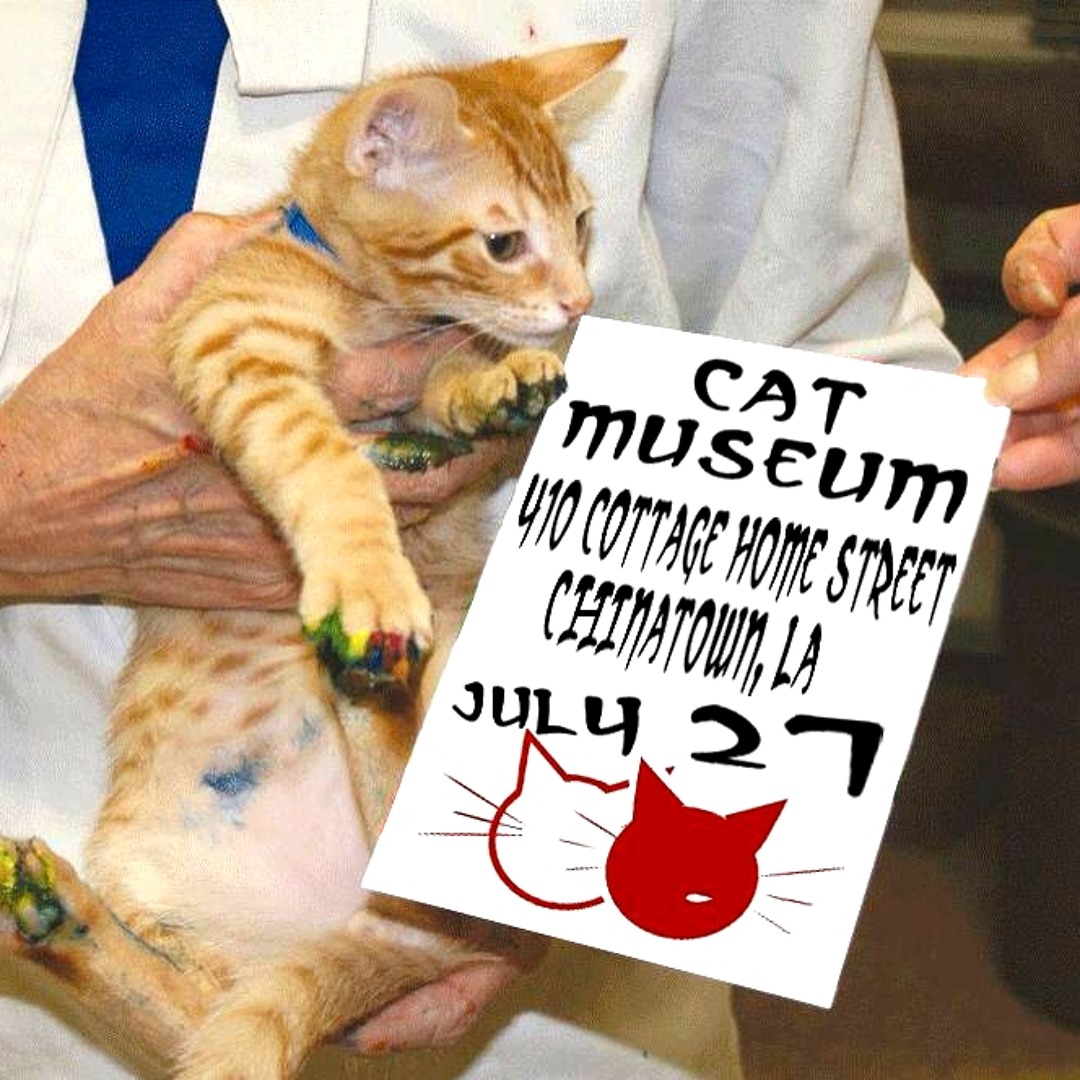 Stream Cat Museum Live@Human Resources by The Cat Museum | Listen ...