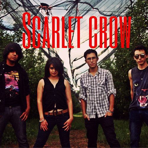 Stream Viaje Al Sur by Scarlet Crow | Listen online for free on SoundCloud