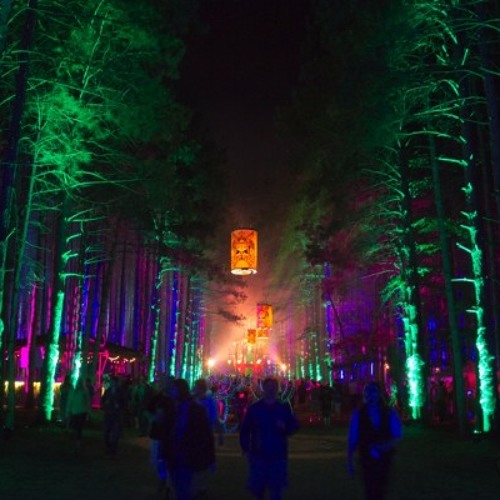 Stream MoPo Live @ Electric Forest June 27, 2014 (Funk In The Forest ...