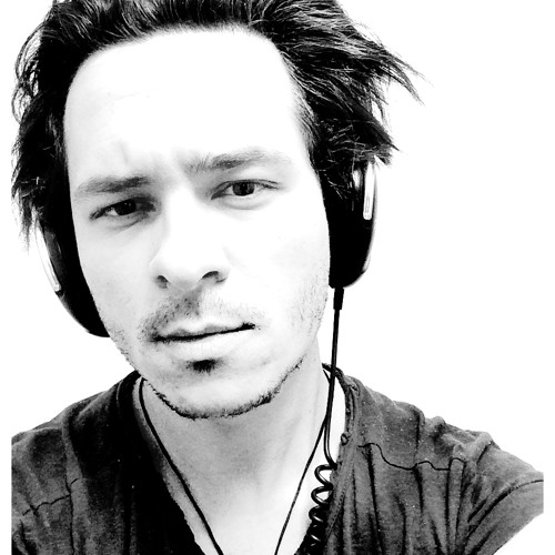 Stream The Chainsmokers & Botnek, Flo Rida - #SELFIE Is Freaking Out ...