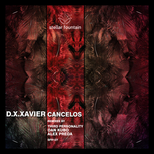 Stream D.X.Xavier - Cancelos (Dan Kubo Remix) by Stellar Fountain ...
