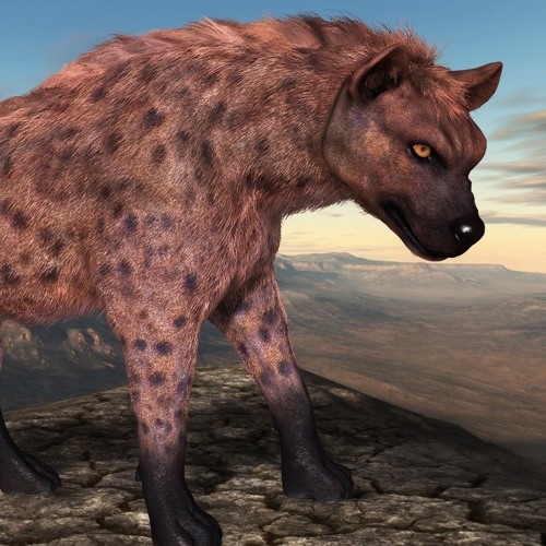 Stream Dj Army - Hyena (Original Mix) by Armagan Oruc | Listen online ...