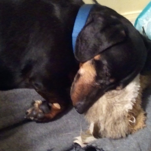 Stream Dylan Seaton | Listen to Jack daniels playlist online for free ...