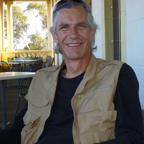 Stream Tony Baylis - South-eastern Banjo Frog (Limnodynastes dumerilii ...