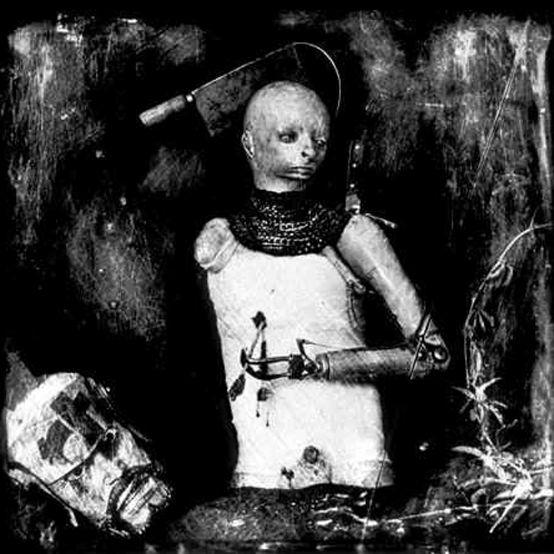 Radiation Effects On Humans