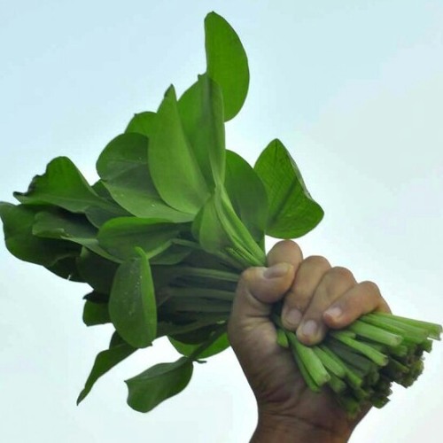 Stream Genjer Genjer by Catur Arum ft Jawaika by Dje Narto | Listen ...