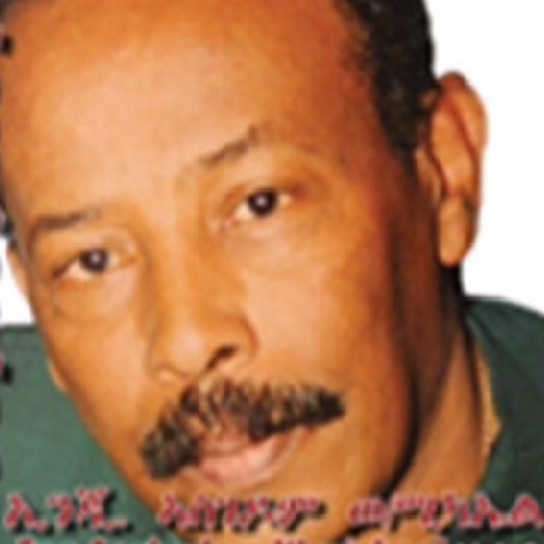 Stream embagaliano | Listen to Legend Engineer Asgedom W.Michael ...