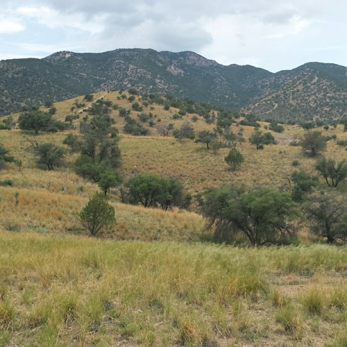 Stream Song idea at Fort Huachuca by Tyson Garner | Listen online for ...