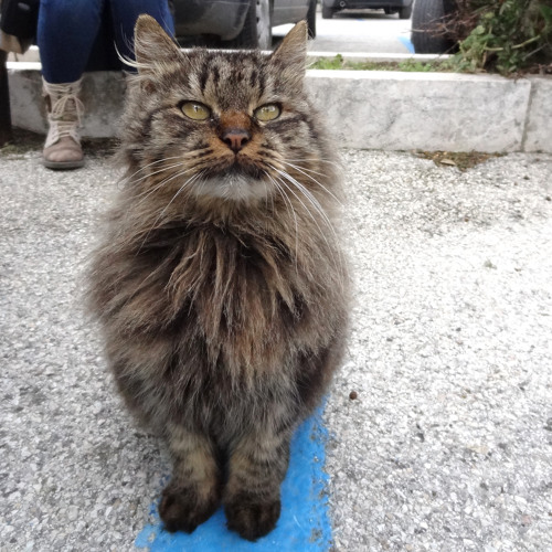 Stream Earth Wind Dirt (Collab with Matty Yu)(Preview) by Guylas | Listen online for free on ...