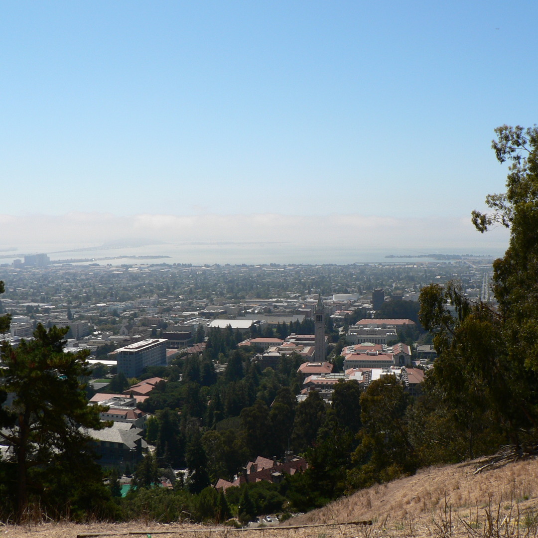 Stream Jack Of Spades by Lody Cash | Listen online for free on SoundCloud