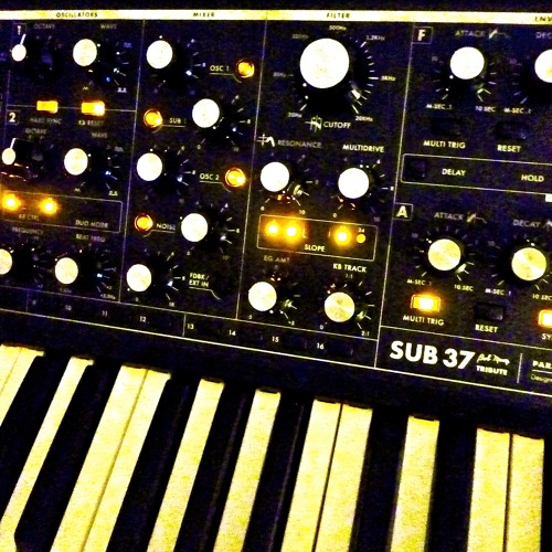 Stream Paul Dither | Listen to Moog Sub 37 Demos playlist online for ...