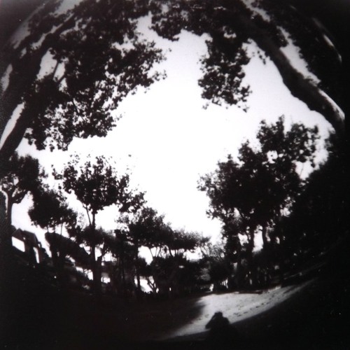 Stream Carophil | Listen to Jo Anna playlist online for free on SoundCloud