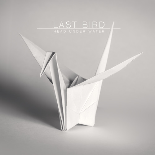Stream Last Bird - EP - Teaser by Last Bird | Listen online for free on ...