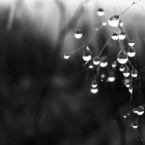 Stream You're Not Right For Me by Barbara Fleet | Listen online for ...