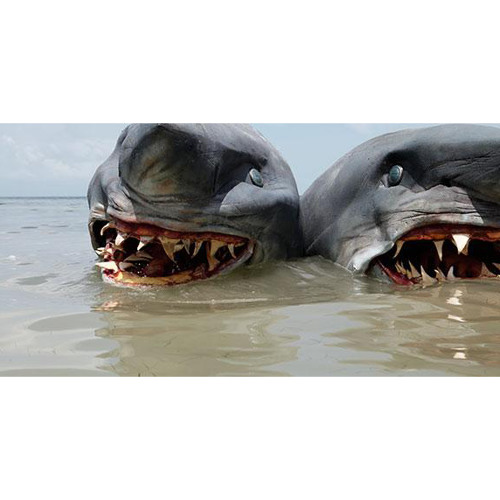 Real 2 Headed Shark Attack