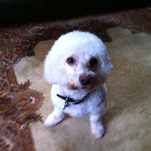 Stream Howie Day - Ghost (Cover) by DJ Dan | Listen online for free on ...