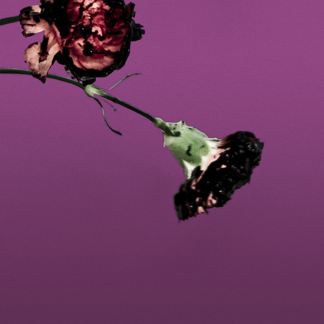 Stream yhnn | Listen to yhnn playlist online for free on SoundCloud