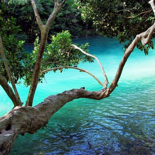 Stream Miyah by Johnny-Hachem | Listen online for free on SoundCloud