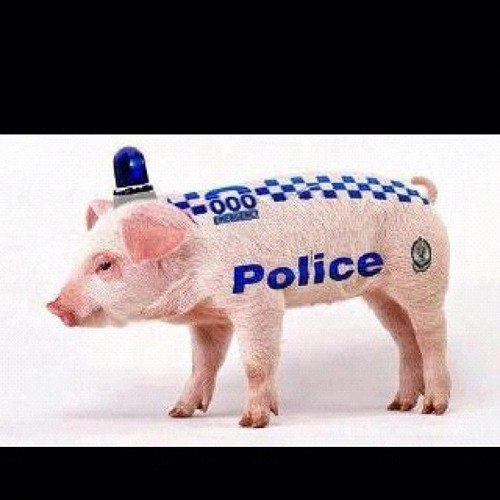 Stream Red rum backwards - Sky'high ft Matty J & Blake Galera-Hollis by ...