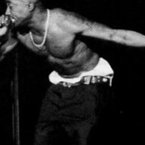 Stream 2Pac - When we ride on our enemies (Remix) by vibe factory ...