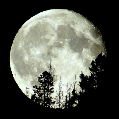 Stream Alice In Chains-Would-cover by Brian L. Schultz | Listen online ...