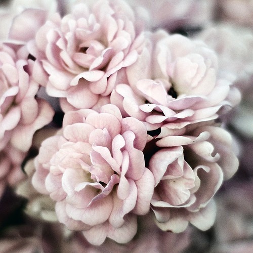 Stream Soft Music To Relax -Morning Light- Relax Rewind And Recharge ...