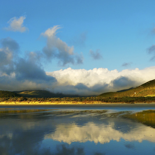 Stream Devon Truscott | Listen to Meditation Living in Peace series ...