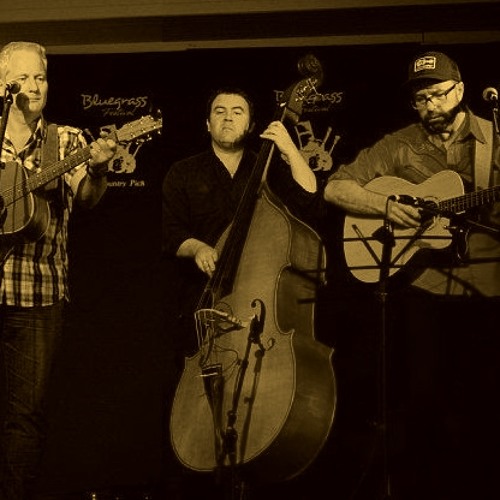 Stream Rusty Pickers Rag by Rusty Pickers | Listen online for free on ...