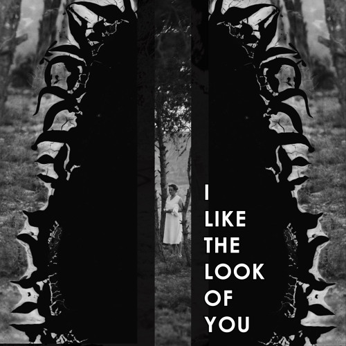 Stream Big Ed King Singers, "I Like the Look of You" by Get Your Dad ...