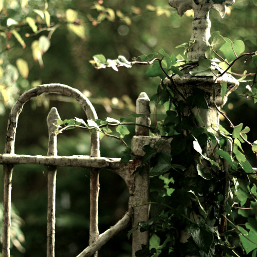 Stream At the Ivy gate. by • 8114 Rhythms • | Listen online for free on ...