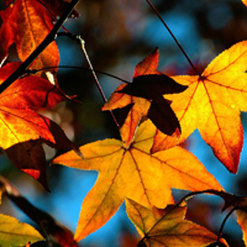 Stream Flying the Dark: Autumnal Equinox - Winter Solstice 2014 by Jeff ...