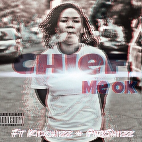 Stream Chief Ft. Chizz X PNB Shizz by chiefpnb | Listen online for free ...