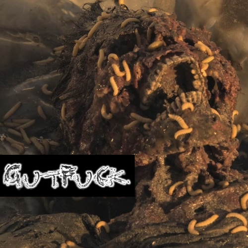 Stream gutfuck - Embalming Your Rotting Carcass With the Entrails of ...