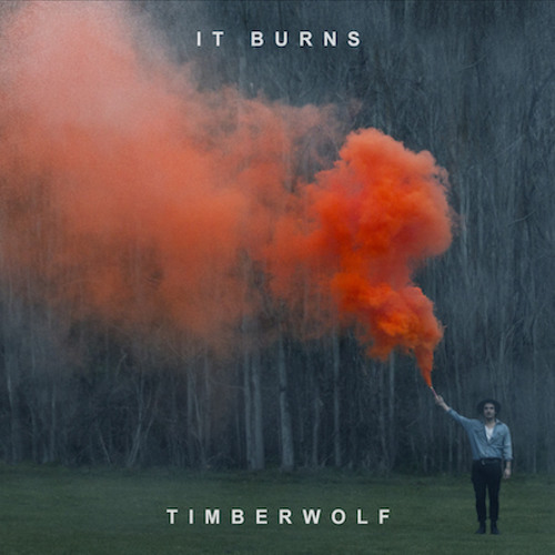 Stream It Burns by Timberwolf Music | Listen online for free on SoundCloud