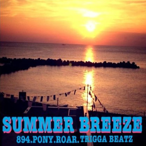 Stream 【SUMMER BLEEZE】894＆PONY ＆ROAR by MIDICRONICA 894 | Listen online ...