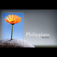 Mark Hotaling's Instagram, Twitter & Facebook on IDCrawl