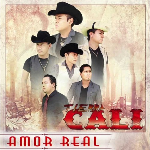 Stream tere hernandez | Listen to tierra cali & mix playlist online for ...