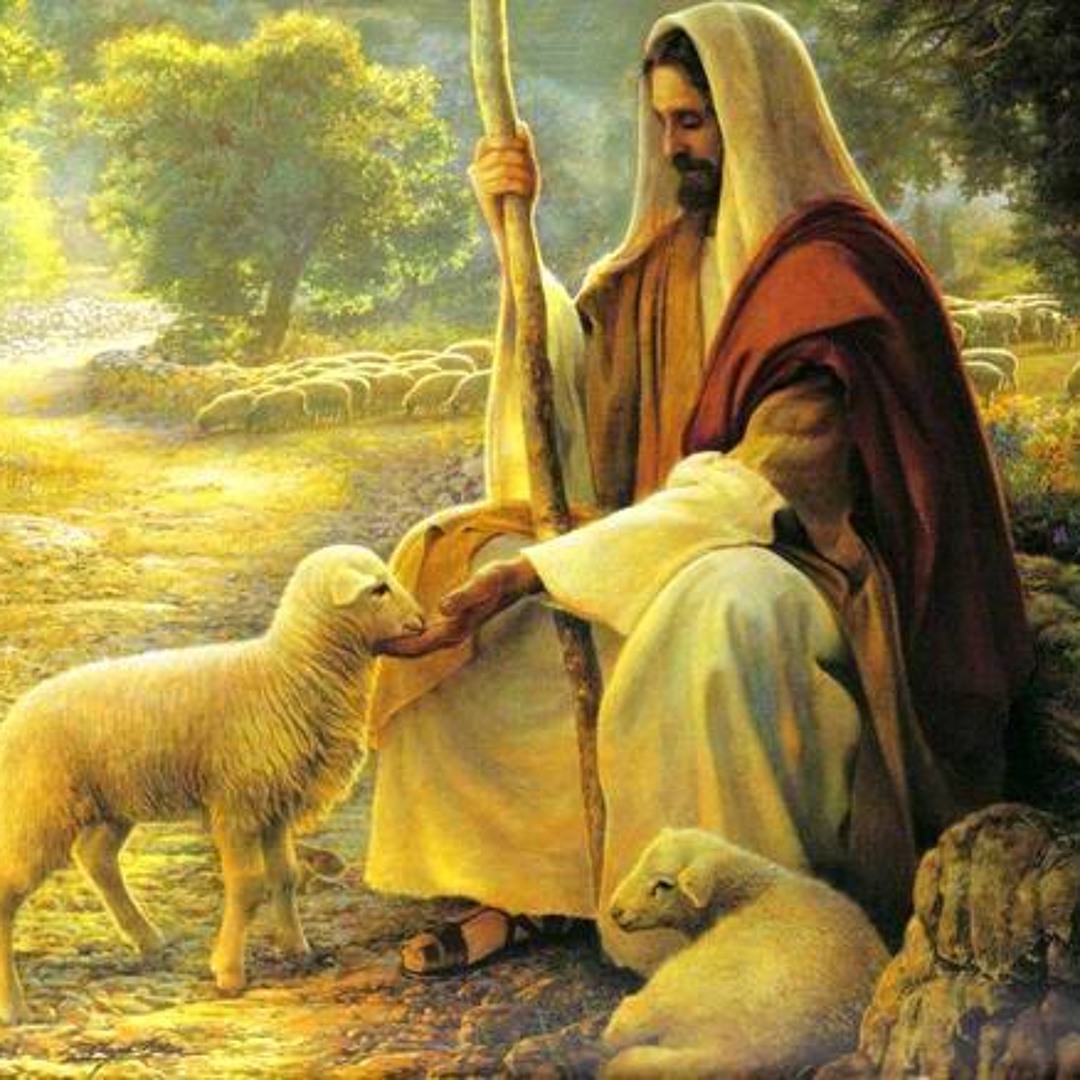 Stream Baher M | Listen to Arabic Taraneem playlist online for free on ...