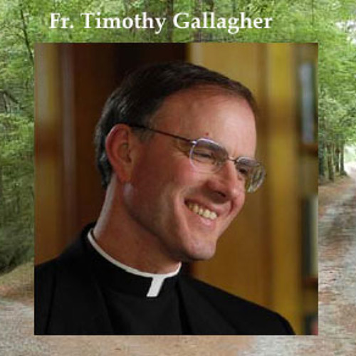 Stream Discerning Hearts | Listen to The Discernment of Spirits with Fr ...