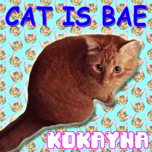 Stream CAT IS BAE by KOKAYNA | Listen online for free on SoundCloud
