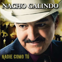 Nancy Fontanez's Instagram, Twitter & Facebook on IDCrawl