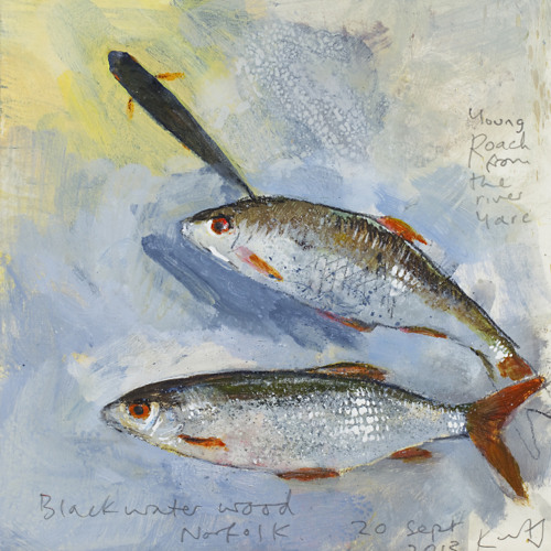Stream Kurt Jackson Place: Chapter 5 - Mark Cocker, Blackwater Carr ...