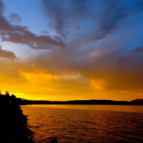 Listen to If Tomorrow Never Comes Thomas A Presley 21stCentury Wolf ...