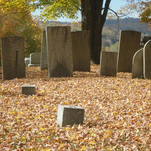 Stream ENTROPY | Listen to Mark Koval: Film Music from various projects ...