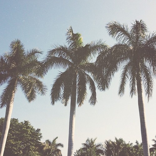 Stream Bring Me The Horizon - Shadow Moses (Raw Vocal Cover) by Earl ...