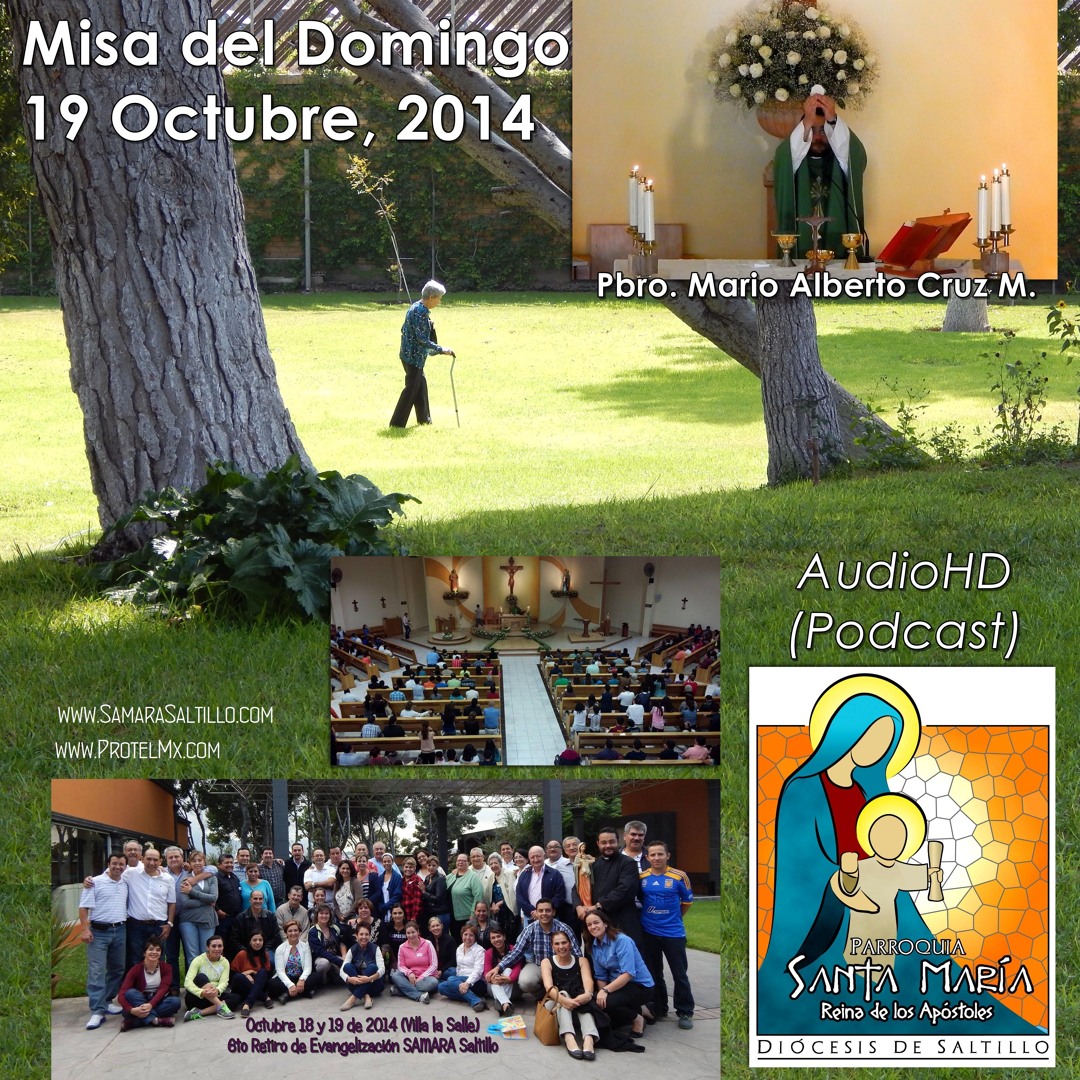 Stream Homilía Domingo 19 Octubre de 2014, P. Mario Cruz, SAMARA ...