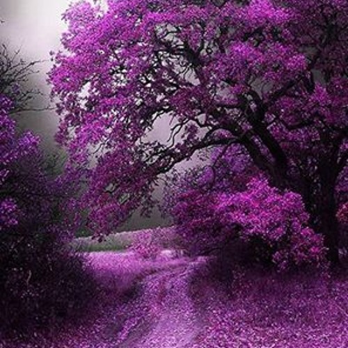 Stream The Magic In You by Dave Roppolo | Listen online for free on ...