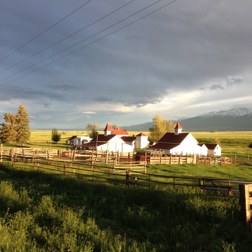 Stream I Don't Need Nobody by Dave Roppolo | Listen online for free on ...