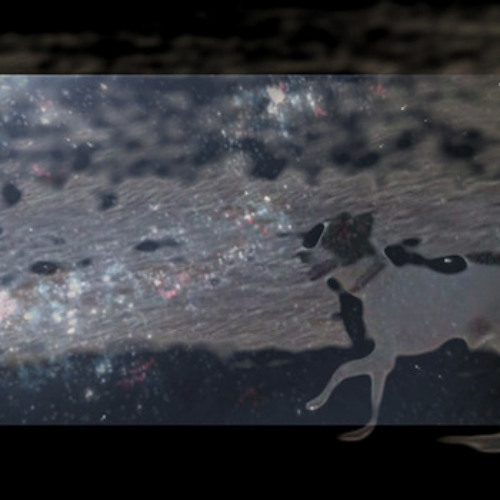 Stream Song For Zero by Xevious Cuboid | Listen online for free on ...